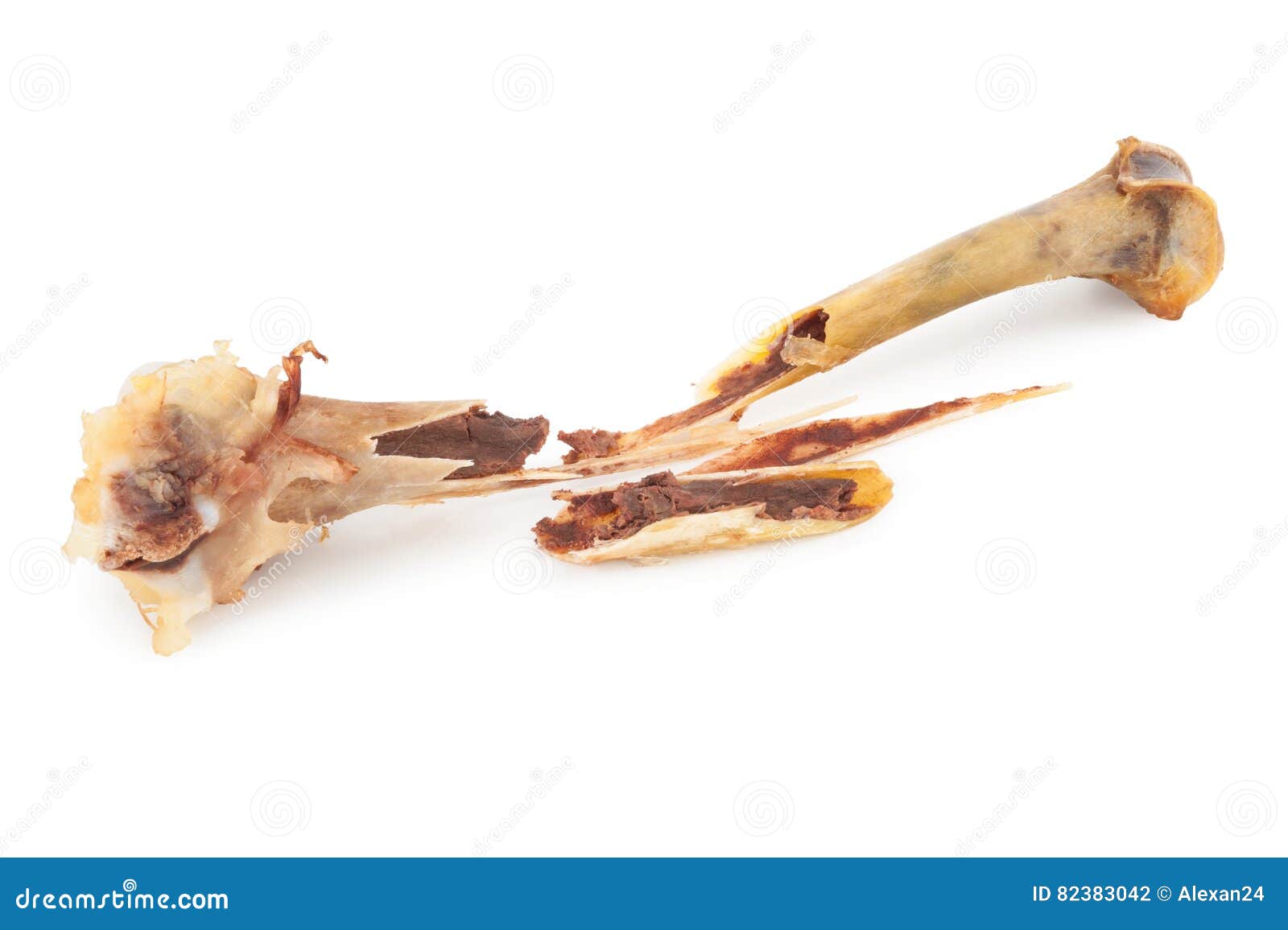 Broken Chicken White Egg With Soft Shadow As New Life Image Stock ...