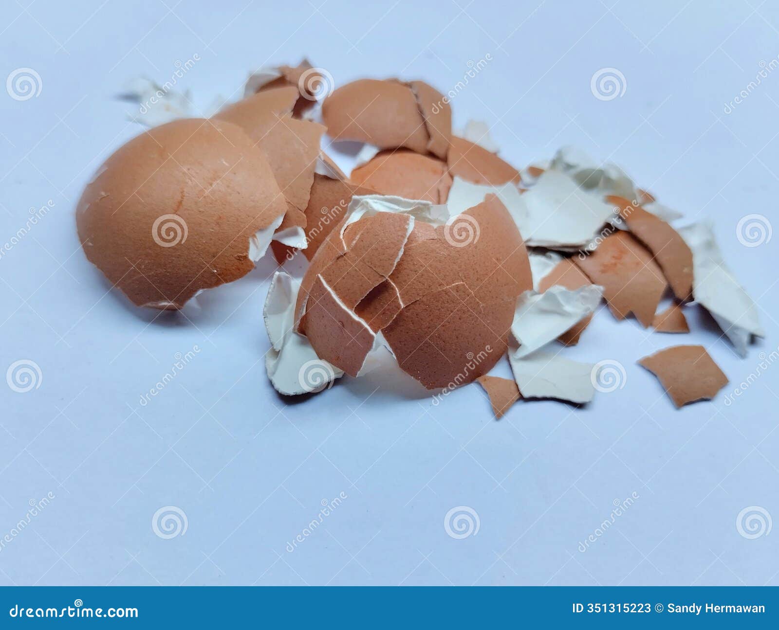 Broken Chicken Egg Shell on White Background Stock Image - Image of ...