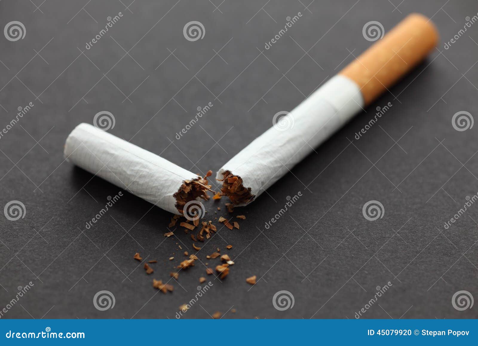 Broken cigarette stock photo. Image of product, habit - 45079920