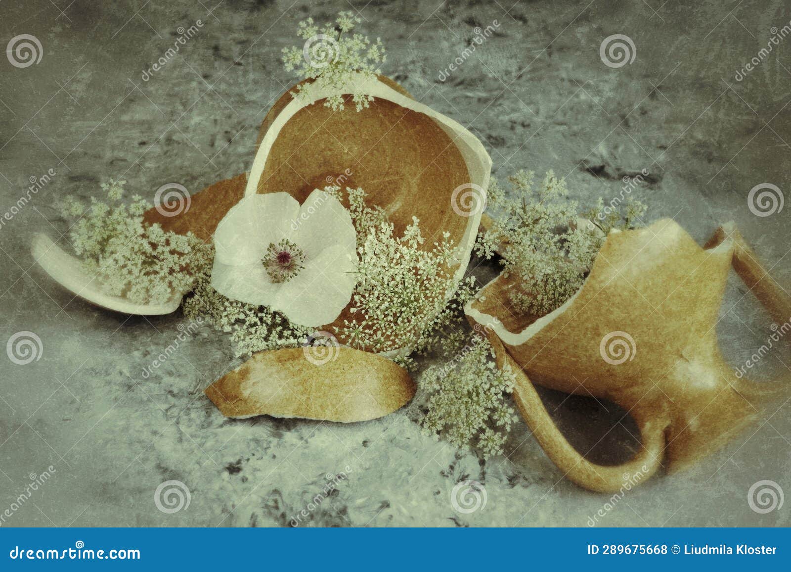 Broken jug with flowers stock photo. Image of dessert - 289675668