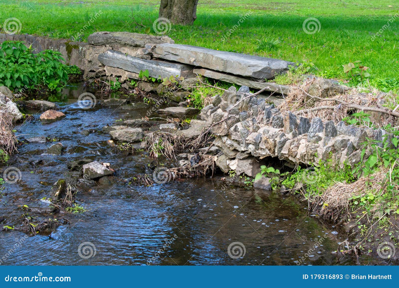 A Broken Cobblestone Wall Next To a Creek Stock Image - Image of growth ...