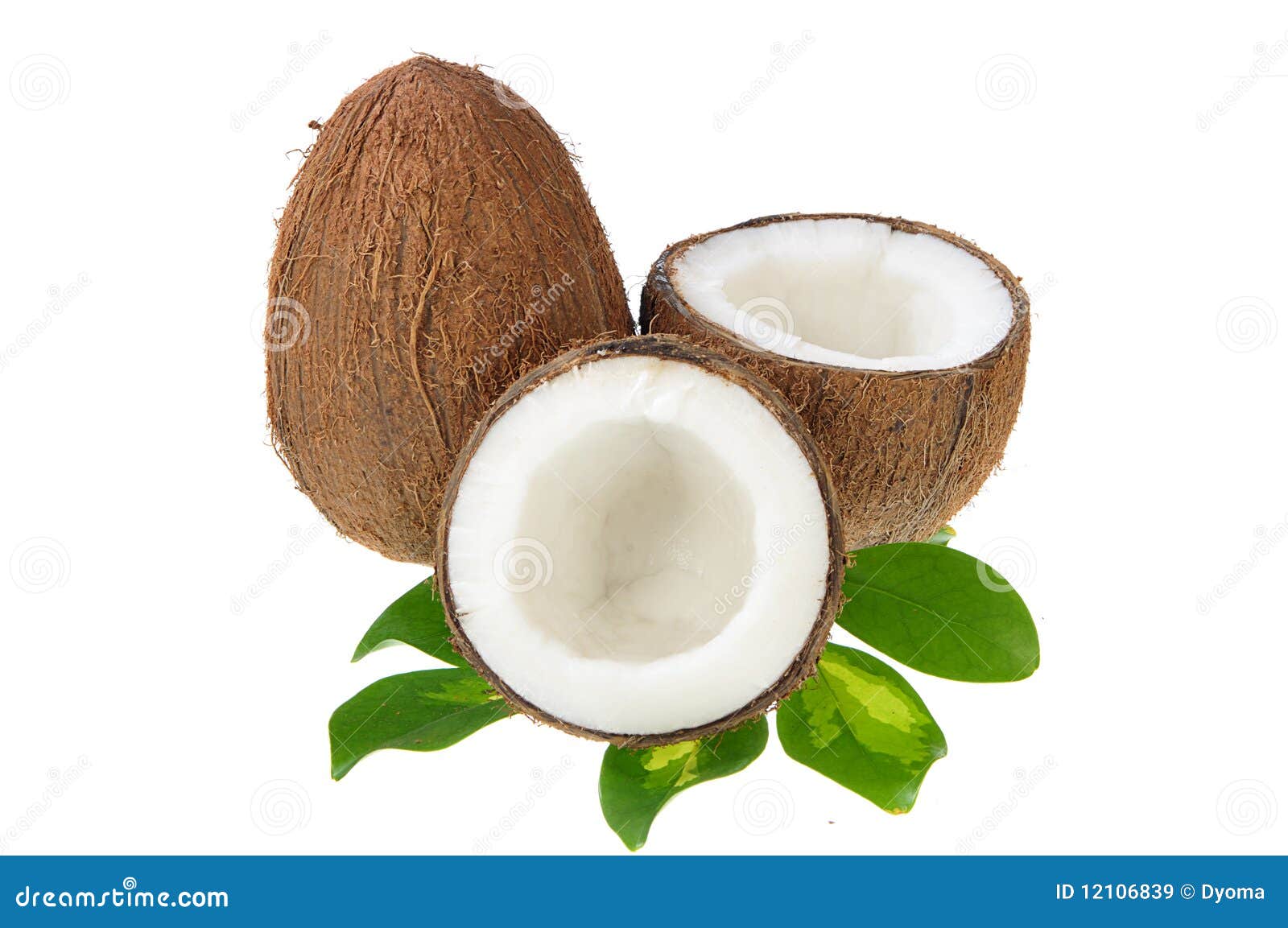 Broken coconut stock image. Image of nature, green, single - 12106839