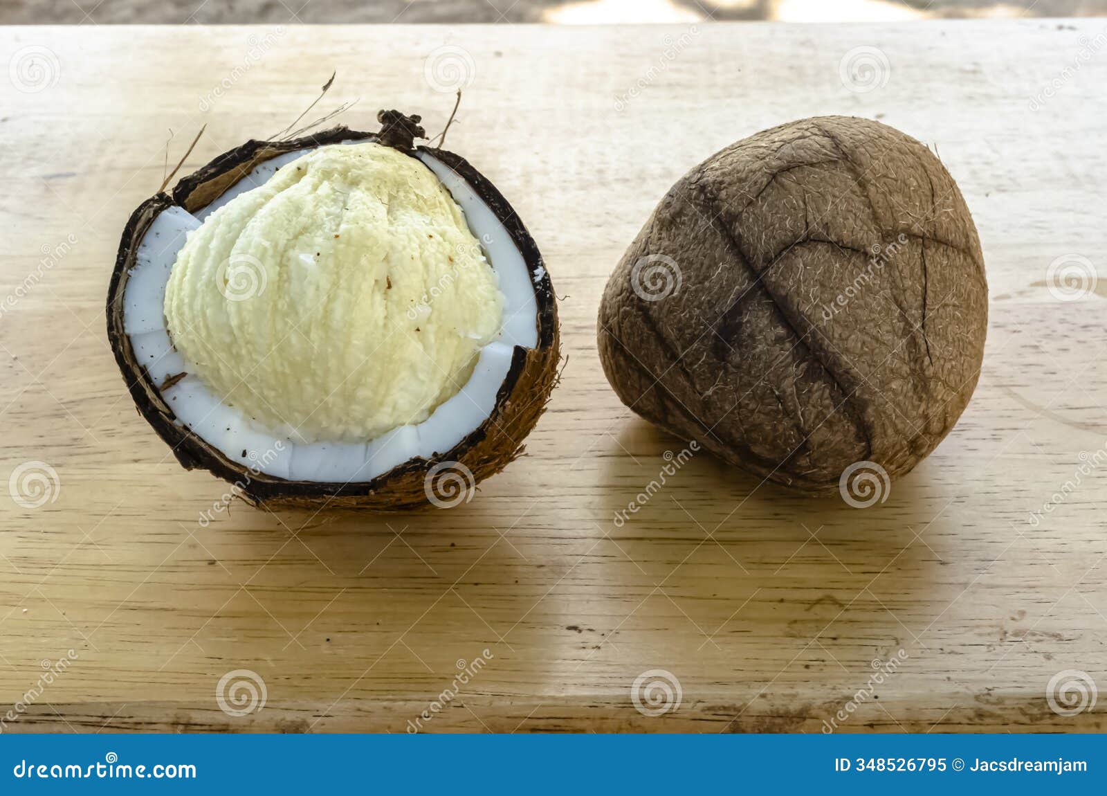 A Broken Coconut with an Embryo, and a Whole Coconut Endosperm Stock ...