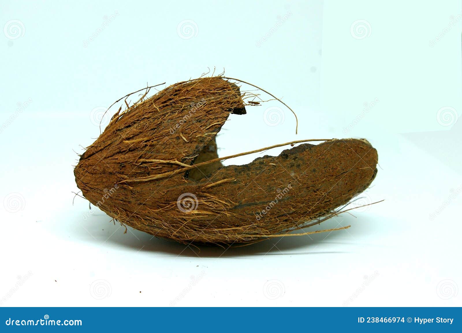 Broken Coconut Shell on White Background. Empty Broken Ovoid Shell ...