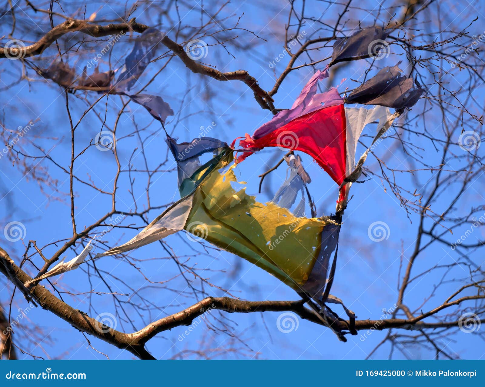 Broken Colourful Skateboard Decks Stacked On Top Of Each Other, Royalty ...