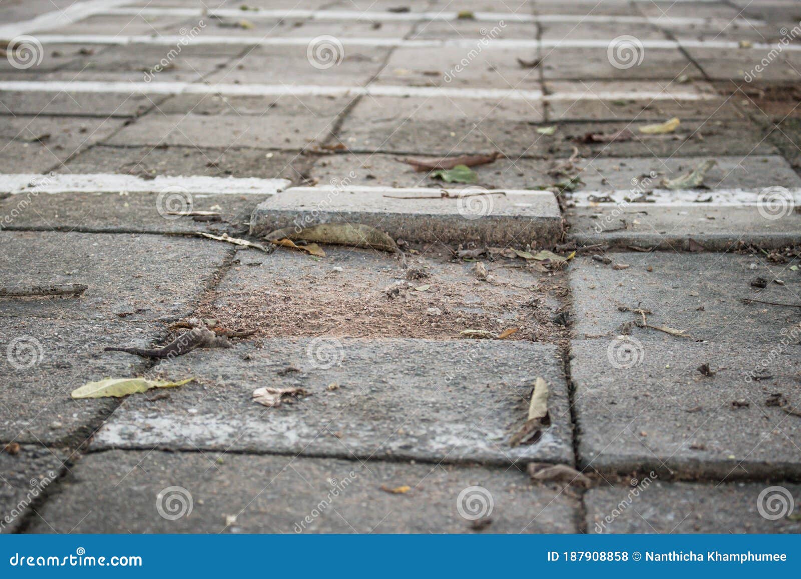 Broken Concrete Pathway Brick Surface Background, Close Up Abstract ...