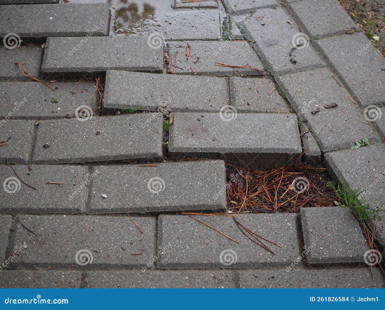 Broken Concrete Pathway Brick Surface Background, Close Up Abstract ...