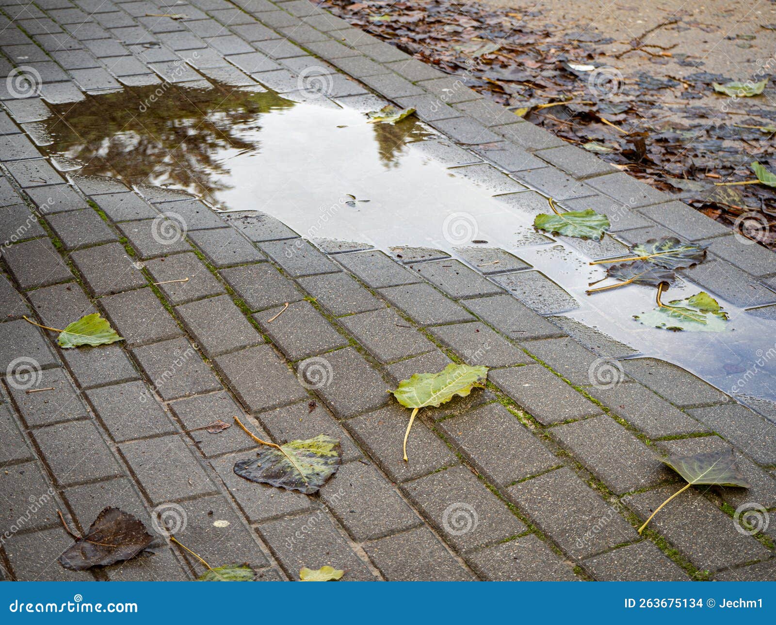 Broken Concrete Pathway Brick Surface Background, Melancholy Concept ...