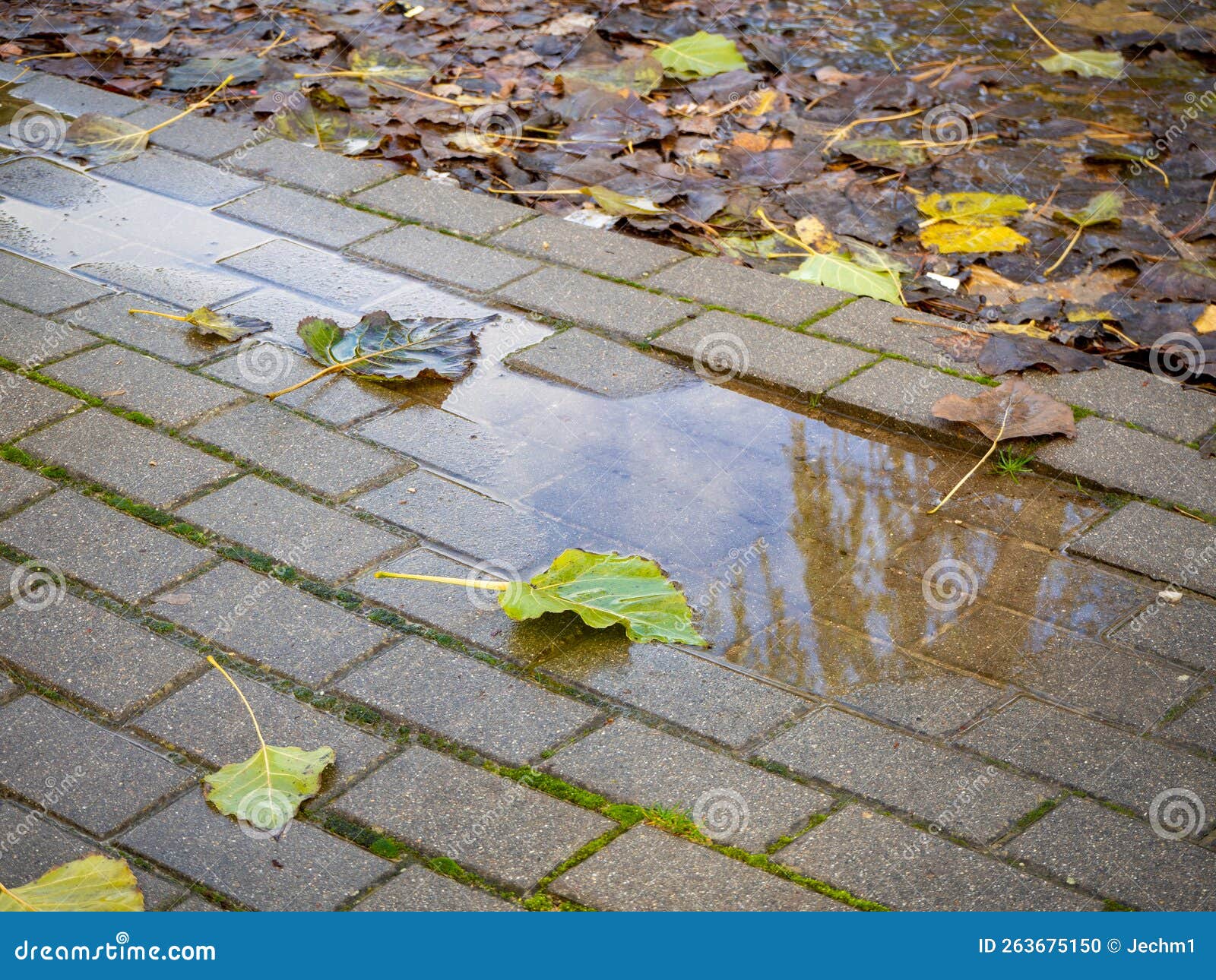 Broken Concrete Pathway Brick Surface Background, Melancholy Concept ...