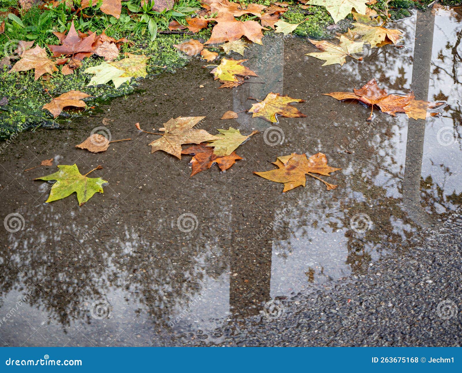 Broken Concrete Pathway Brick Surface Background, Melancholy Concept ...