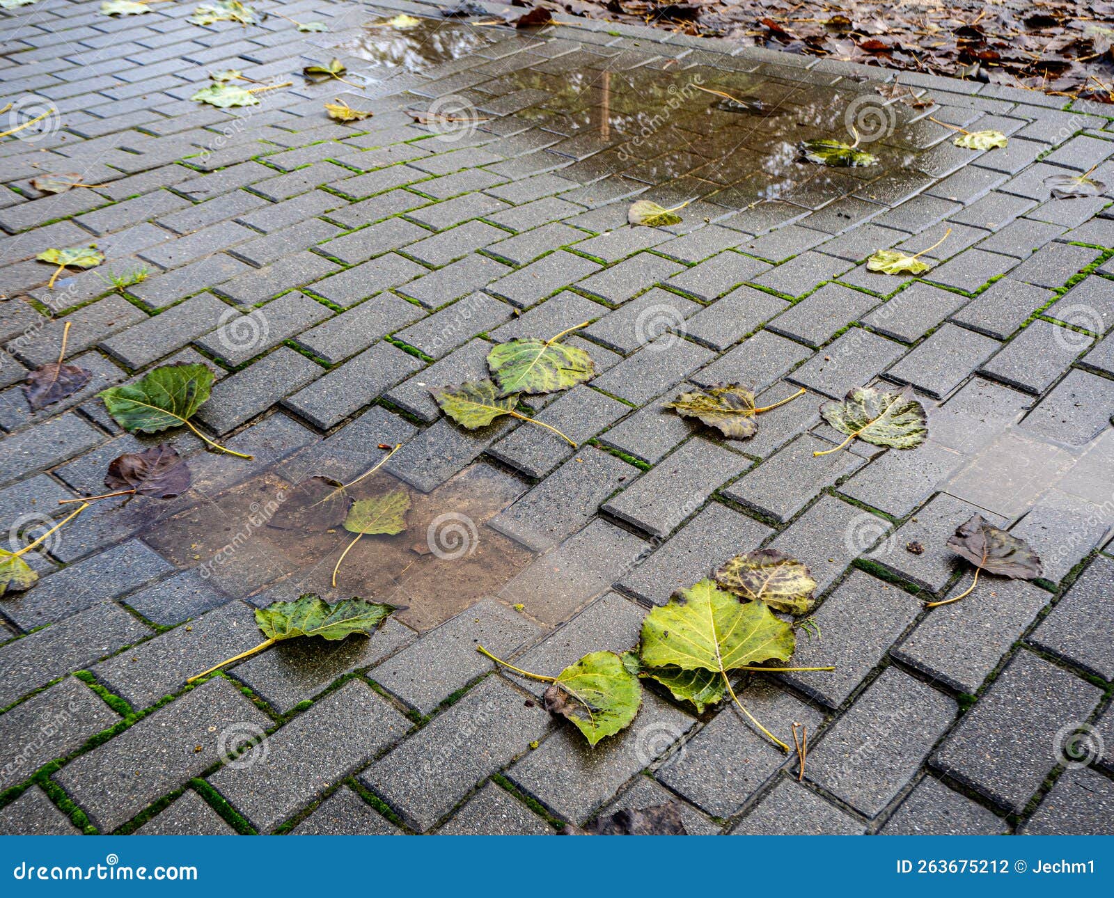Broken Concrete Pathway Brick Surface Background, Melancholy Concept ...