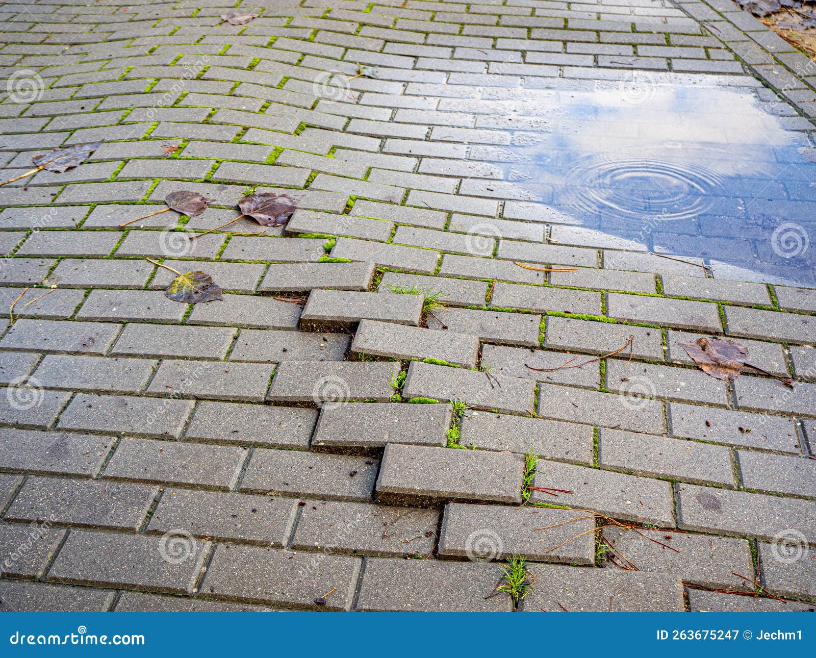 Broken Concrete Pathway Brick Surface Background, Melancholy Concept ...