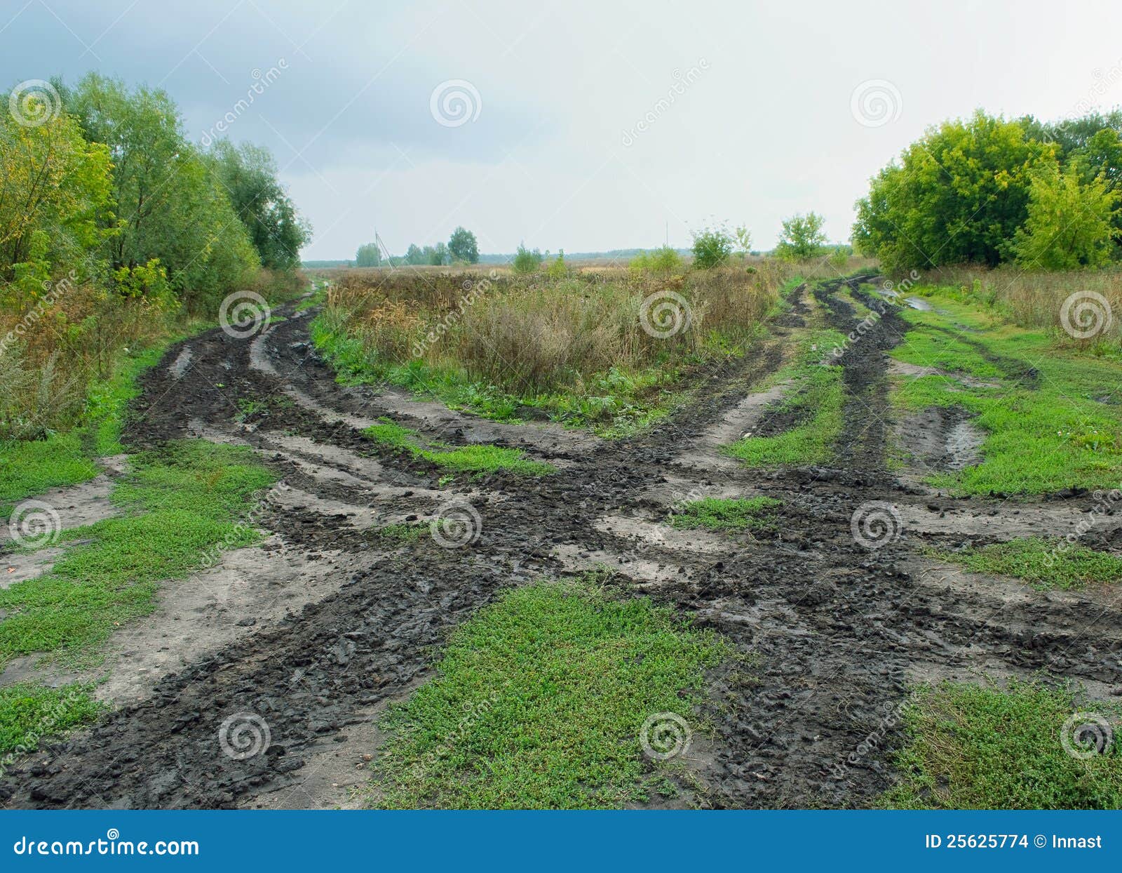 Broken country road stock photo. Image of slush, tree - 25625774