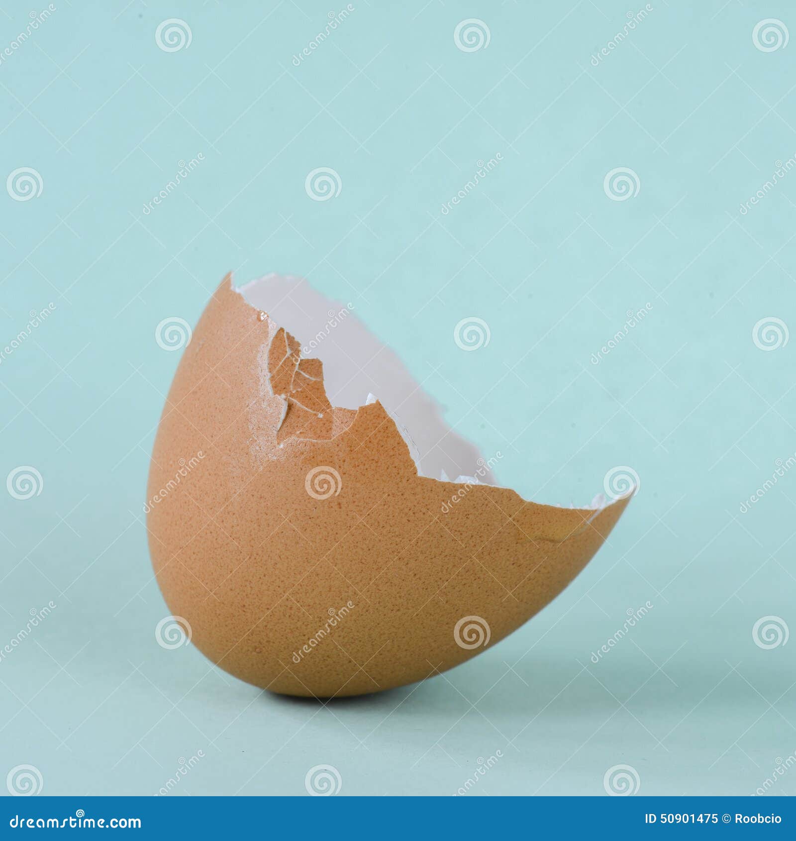 Broken and Cracked Egg Shell Stock Image - Image of broken, background ...