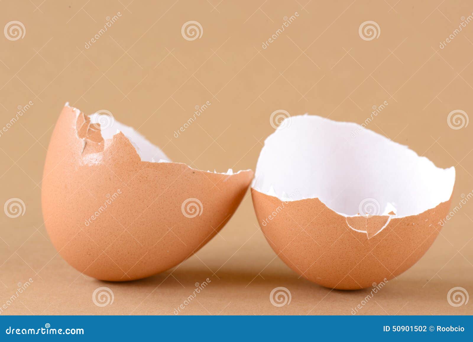 Broken and Cracked Egg Shell Stock Photo - Image of cracked, ingredient ...