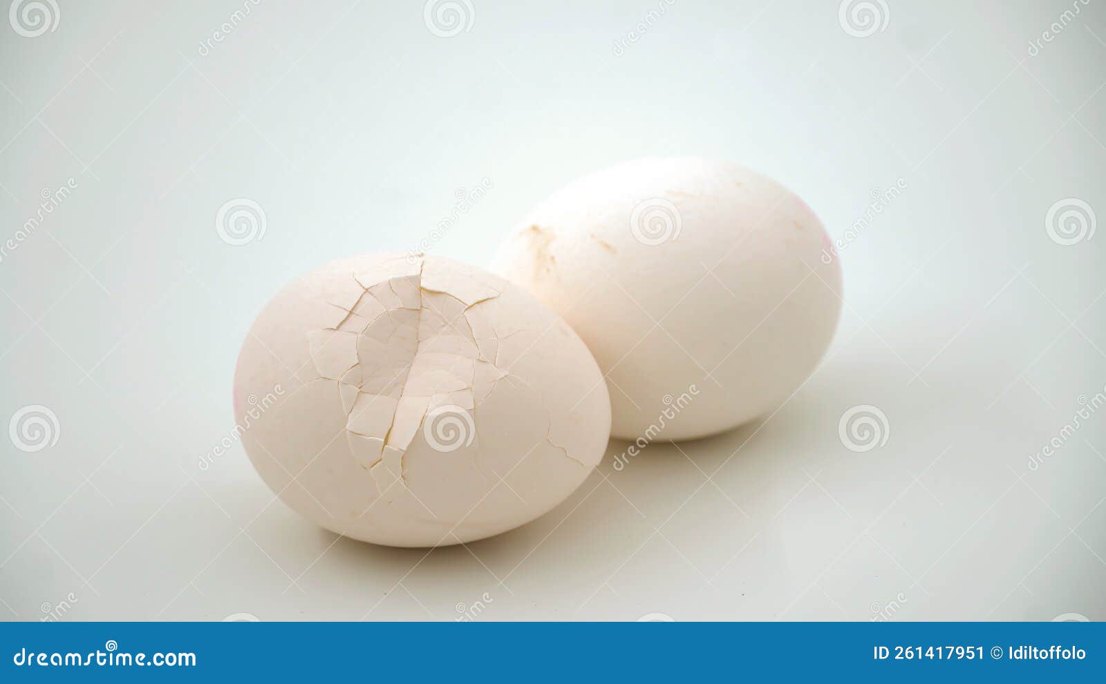 Broken and Cracked Egg Shell on an Isolated Background Stock Image ...