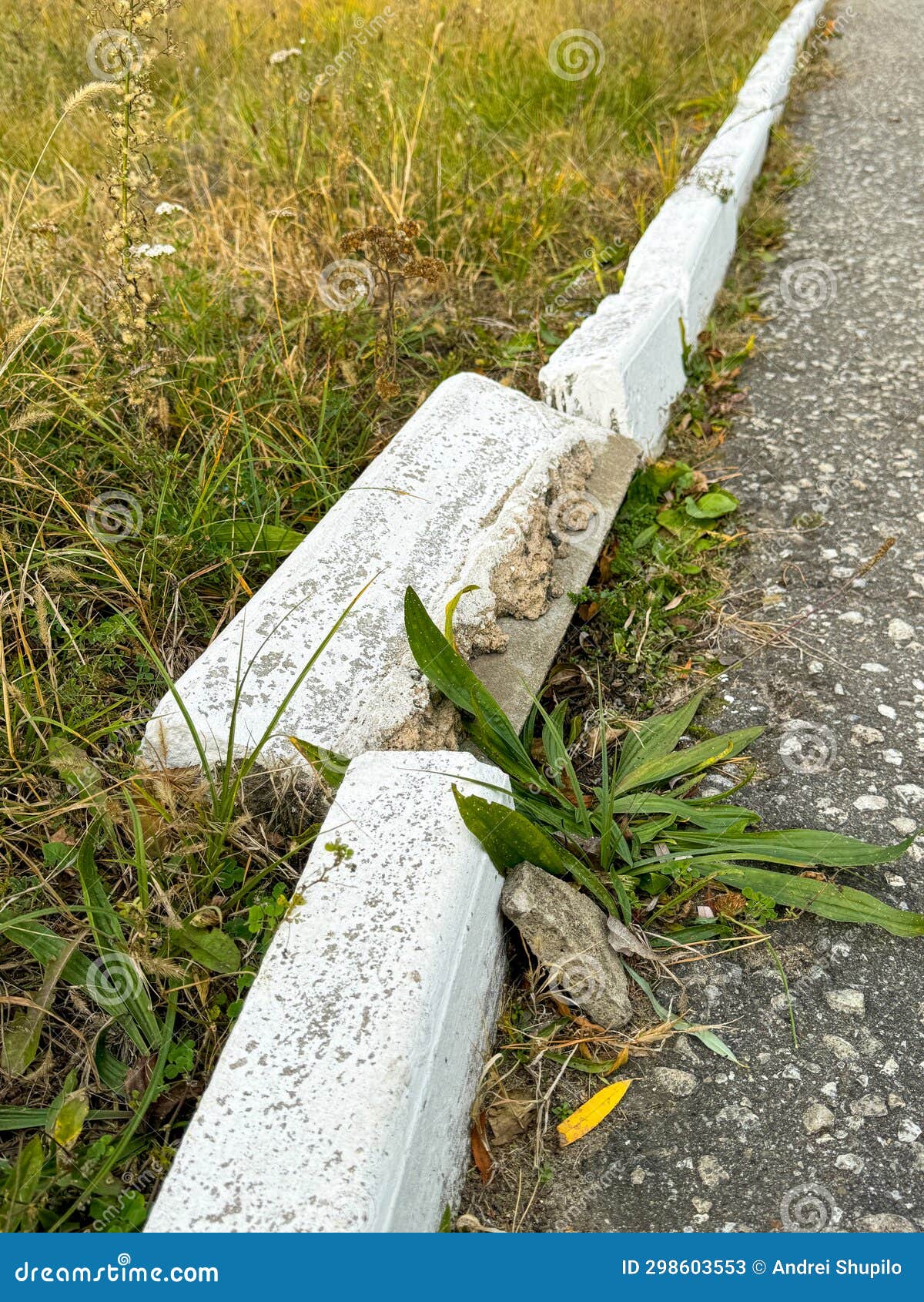 Broken Curb on the Road in the Park Stock Image - Image of road ...