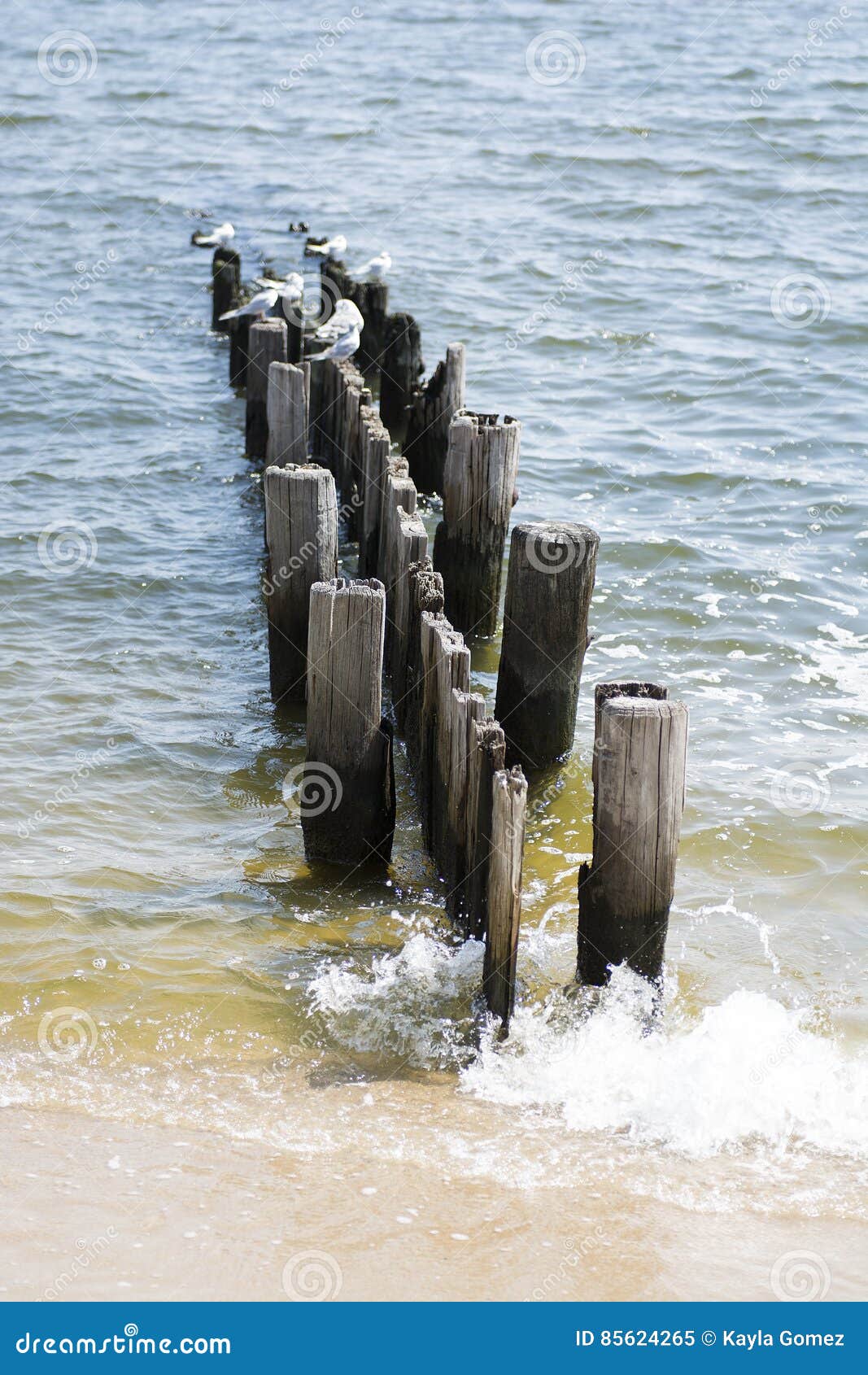 2,602 Broken Dock Photos - Free & Royalty-Free Stock Photos from Dreamstime