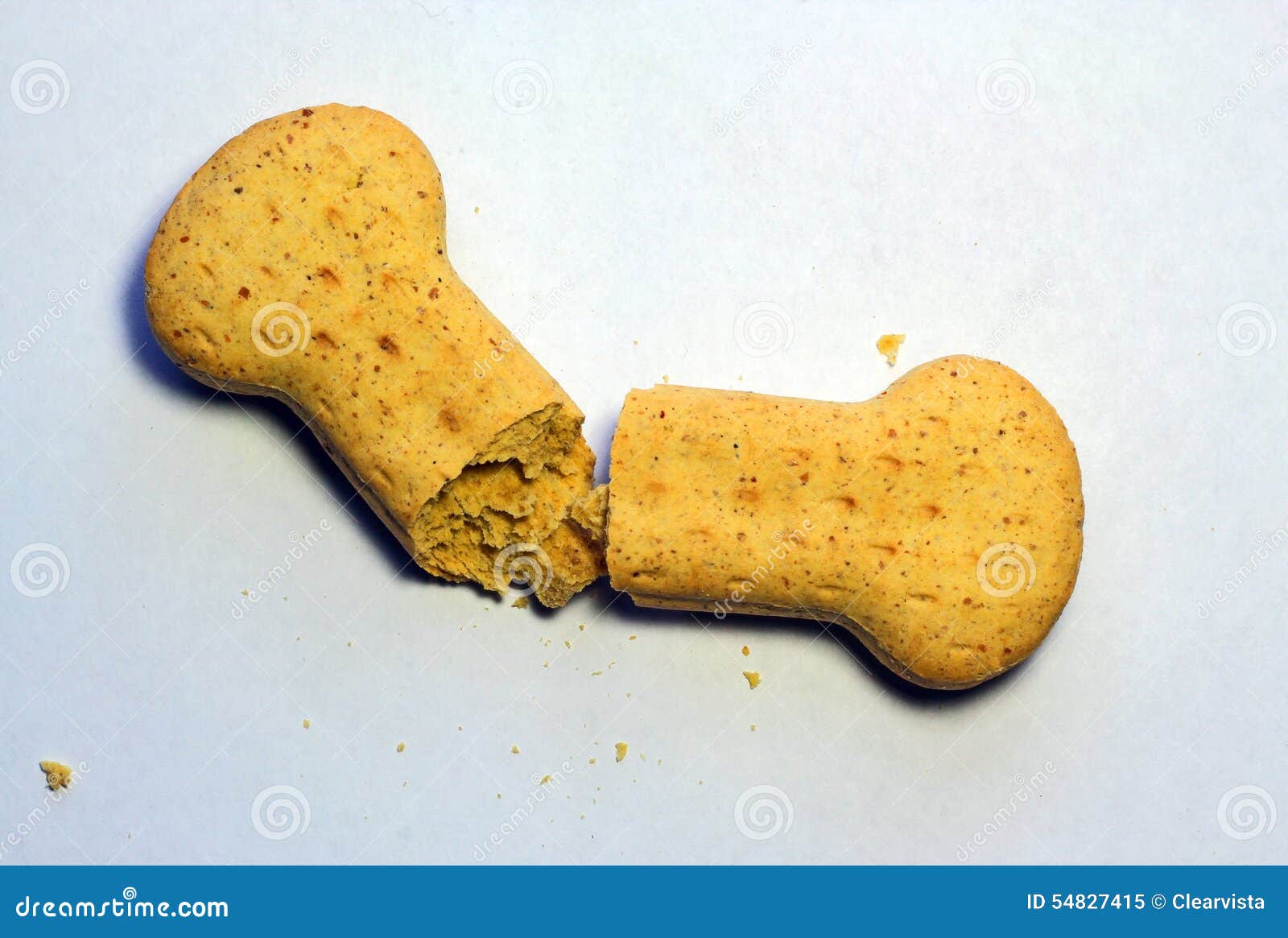 How To Treat A Broken Bone On A Dog