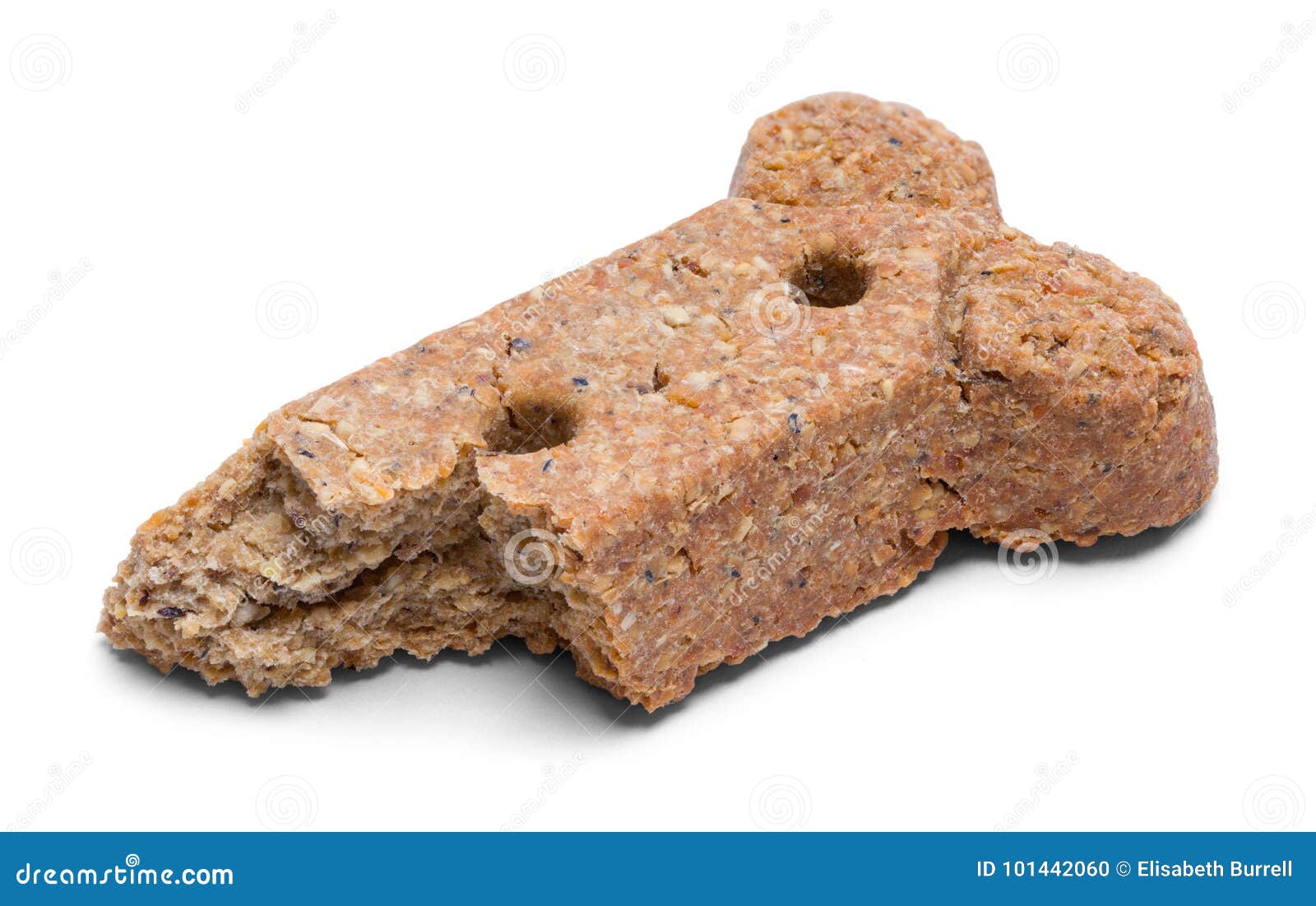 Broken Dog Bone stock photo. Image of bone, isolated - 101442060