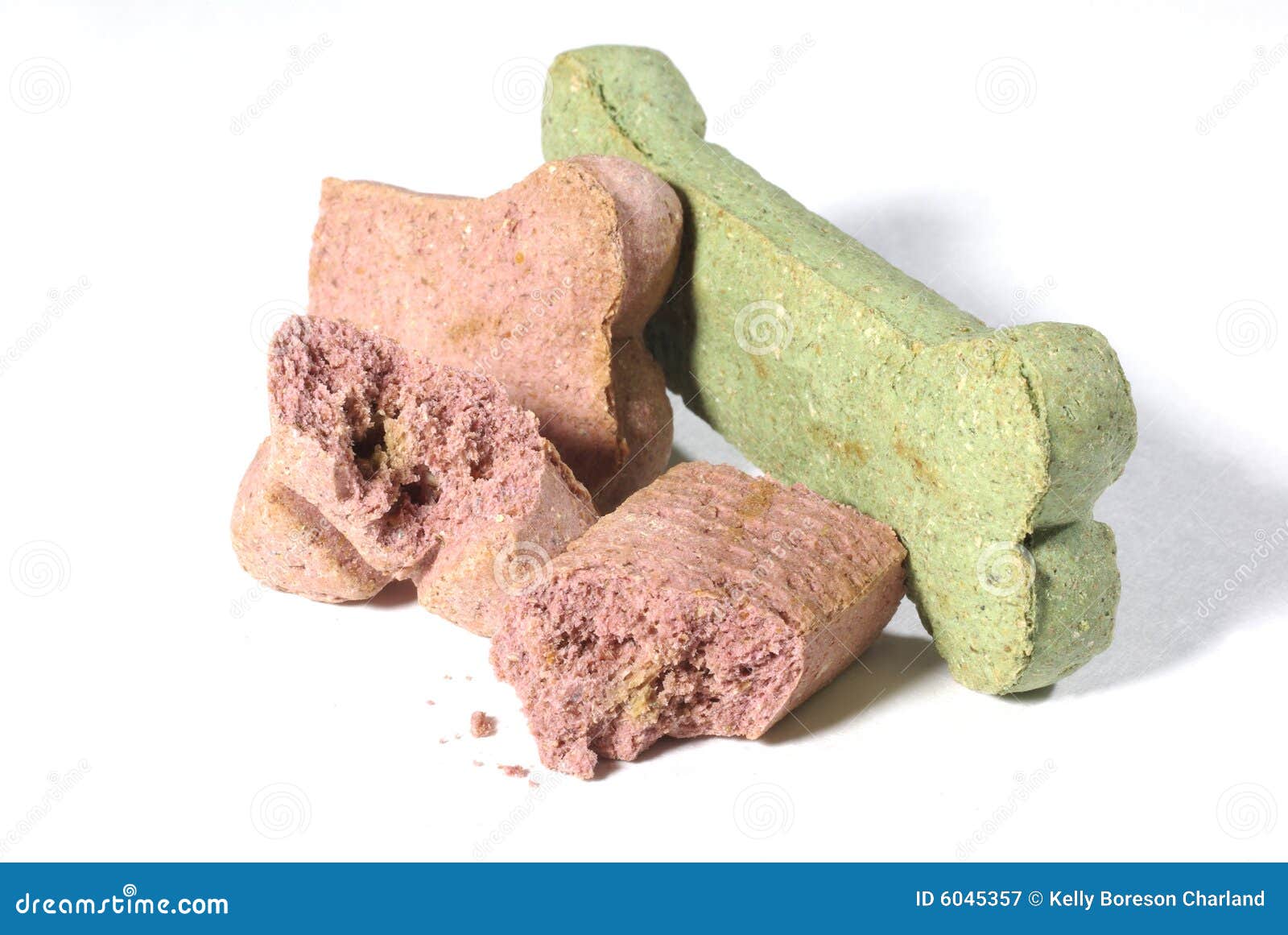 Broken dog treats stock image. Image of mammal, training - 6045357