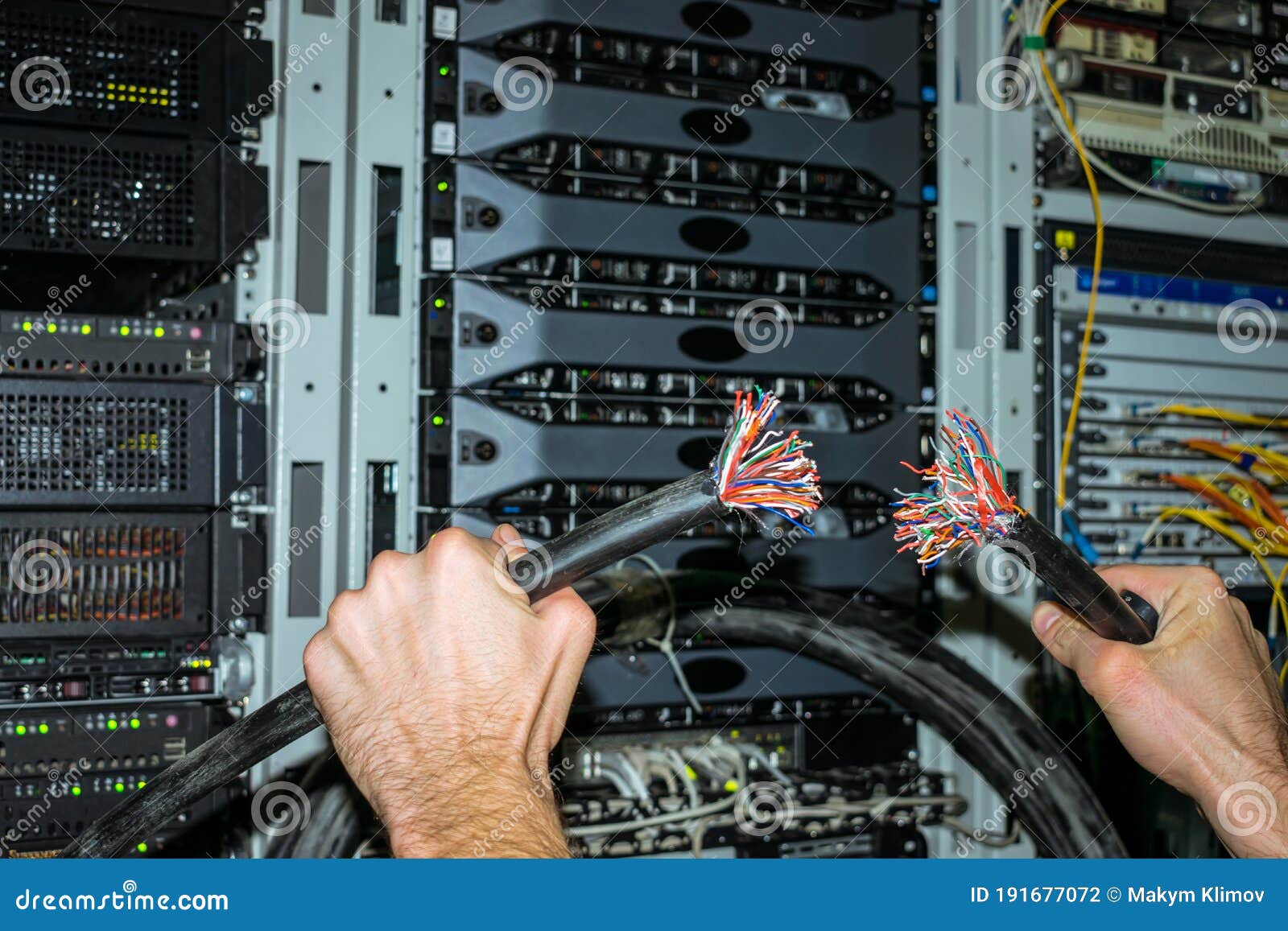 Two Damaged Stranded Wires Are In The Hands Of A Network Engineer.The ...