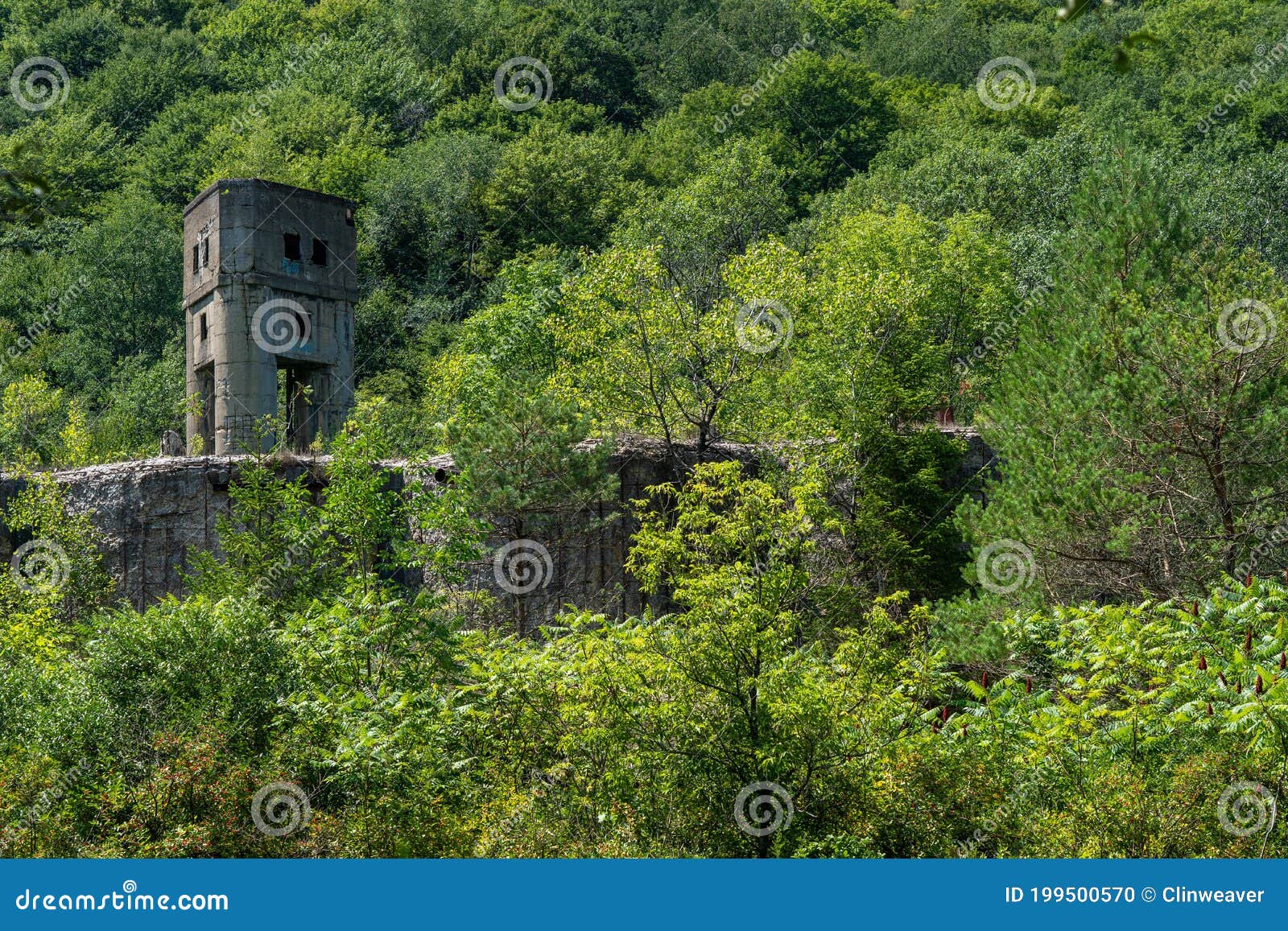 Bayless Pulp and Papermill Ruins Stock Photo - Image of architecture ...