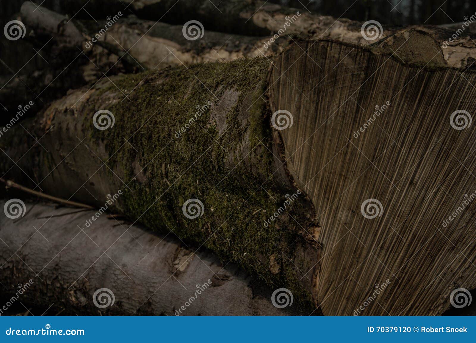 Broken down stock photo. Image of trees, broken, space - 70379120