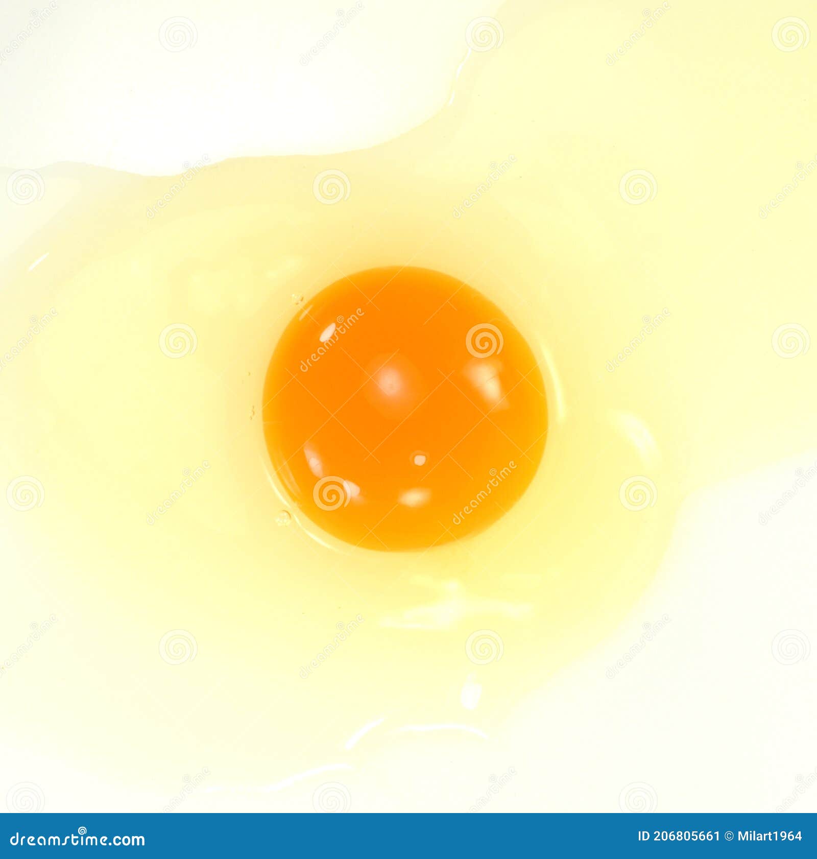 Broken Egg Isolated on White Background Stock Image - Image of cooking ...