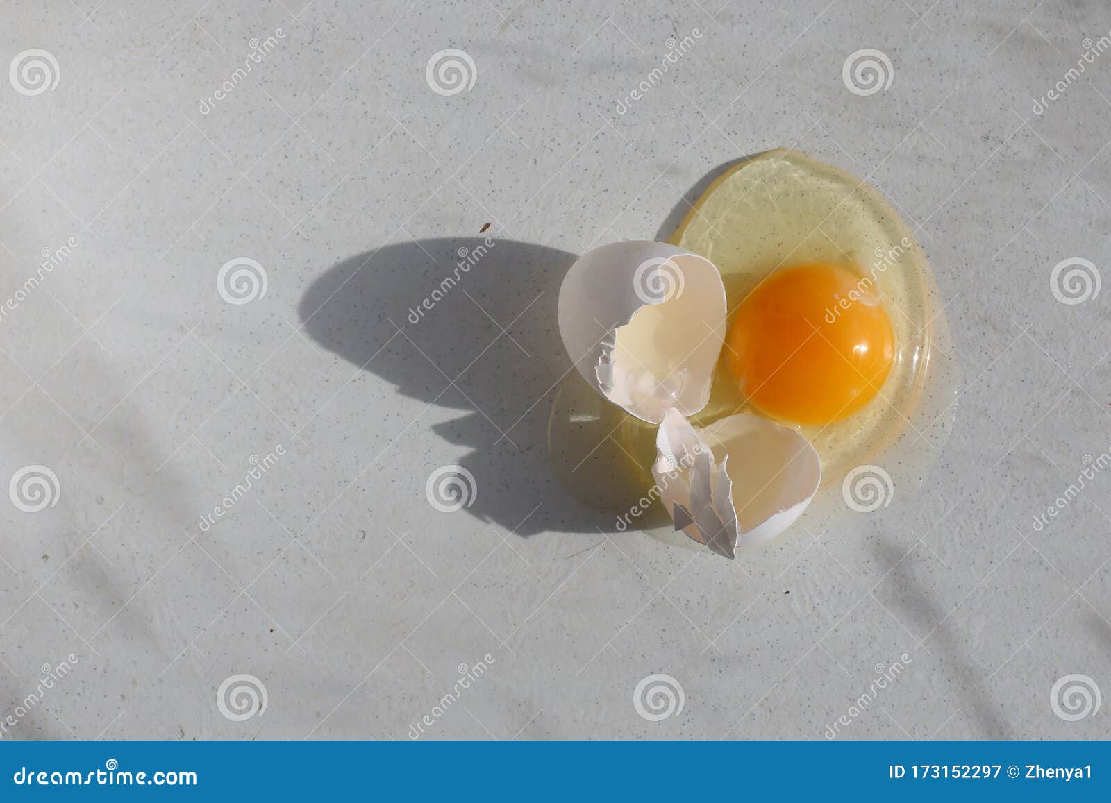 Broken Egg on a White Background Stock Image - Image of empty, oval ...