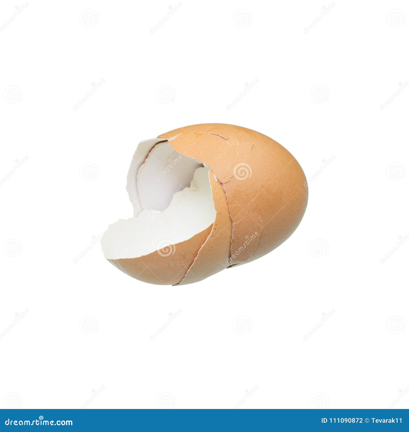 Broken Egg Shell Isolated on White Background Stock Photo - Image of ...