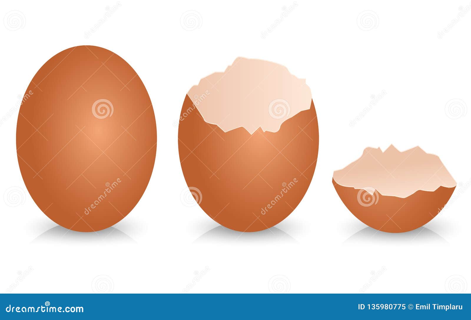 Broken Egg Shell Vector Design Illustration Stock Vector - Illustration ...