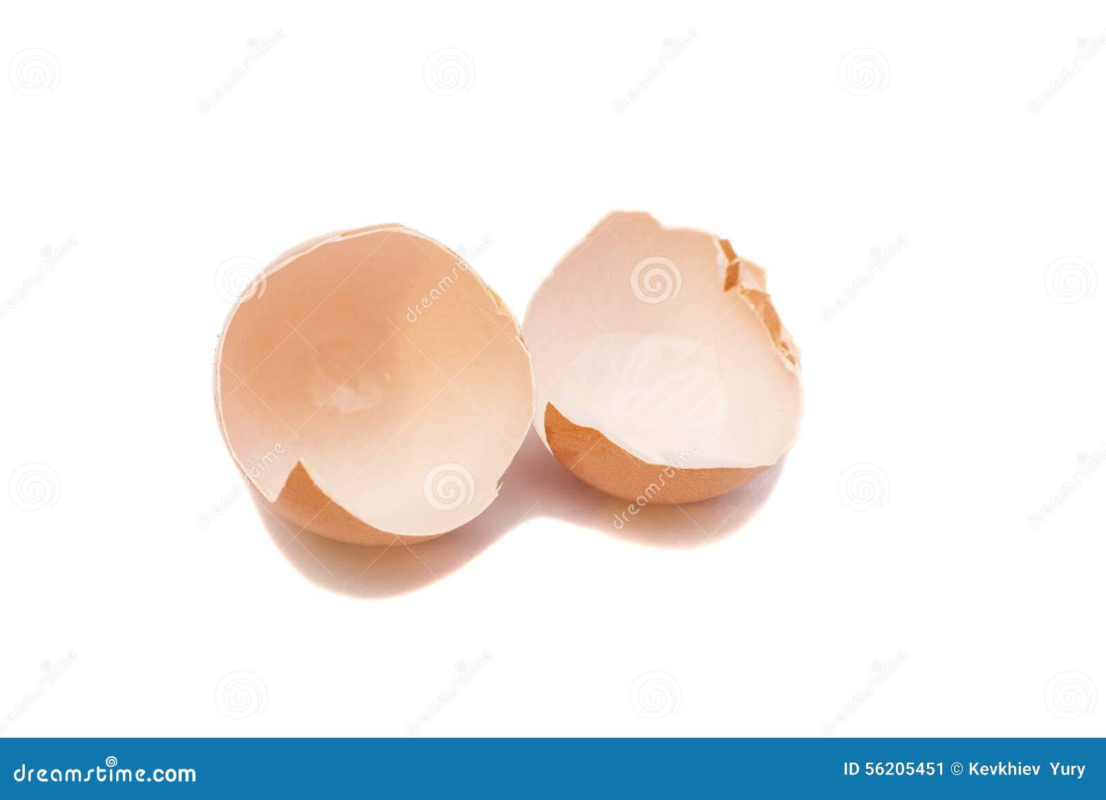 Broken egg shell stock image. Image of diet, cracked - 56205451