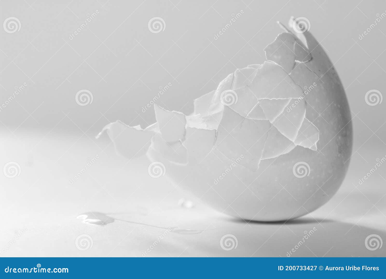 Broken Egg Shell on White Background Stock Image - Image of foodstuff ...