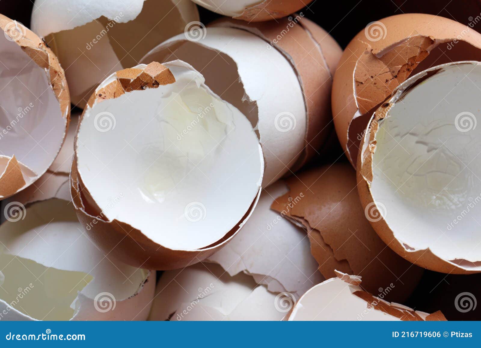Broken Egg Shell on White Background. Top View. Egg Shell Texture Stock ...