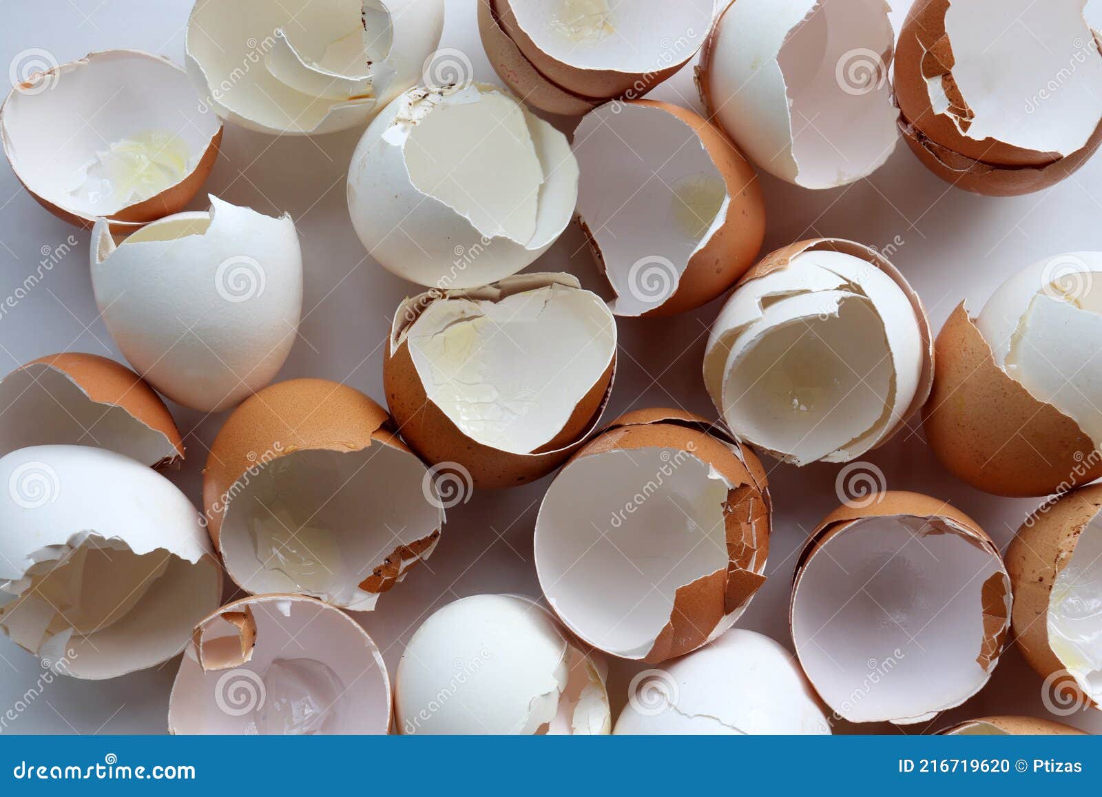 Broken Egg Shell on White Background. Top View. Egg Shell Texture Stock ...