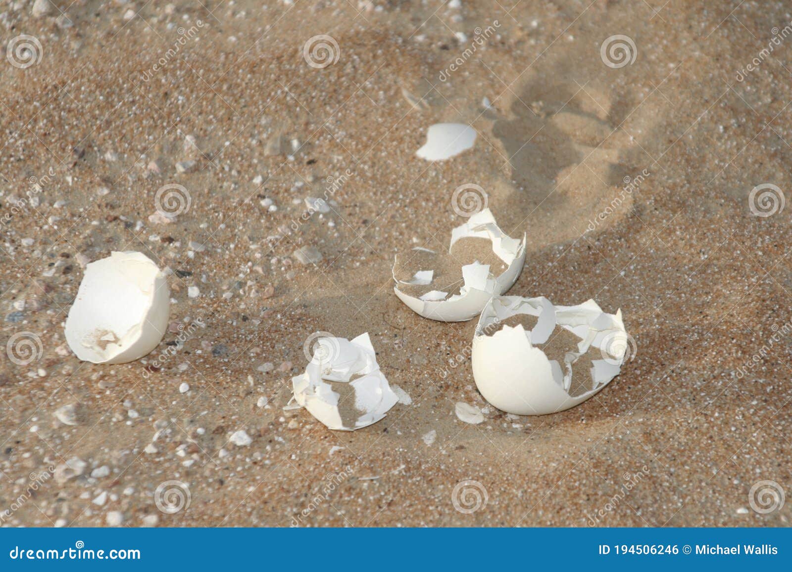 Broken Egg Shells in the Desert Stock Photo - Image of curves, comfort ...