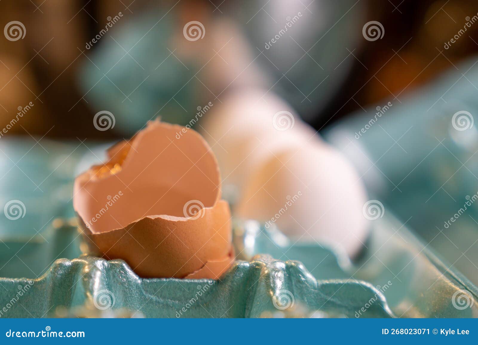 Broken egg shells stock image. Image of fragile, natural - 268023071