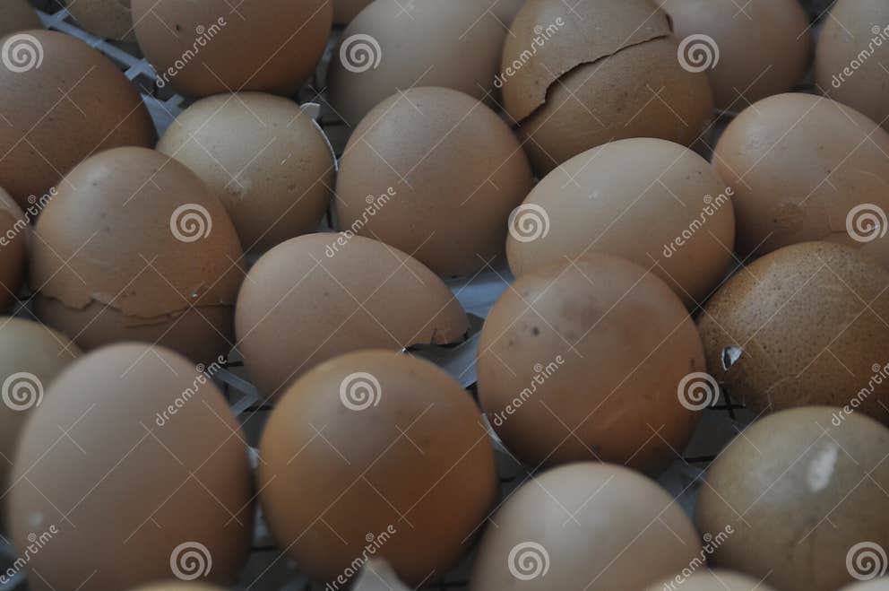 Eggshell. Dry Egg Shells in the Pan. Stock Image - Image of dessert ...