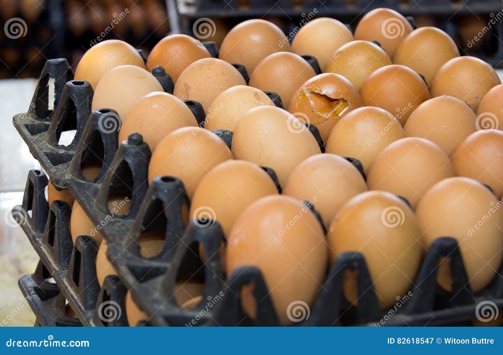 A broken egg in the tray, stock image. Image of food - 82618547
