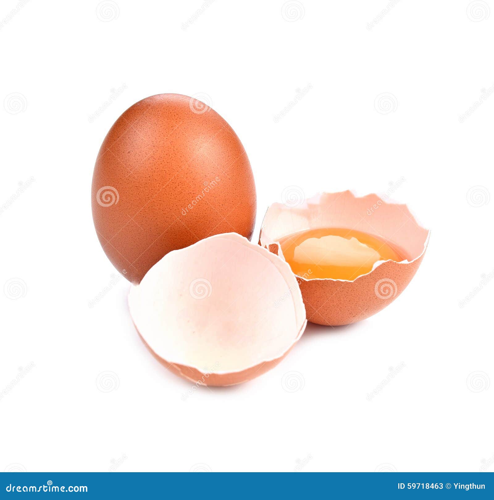 Broken Egg White Background Stock Image - Image of isolated, eggs: 59718463