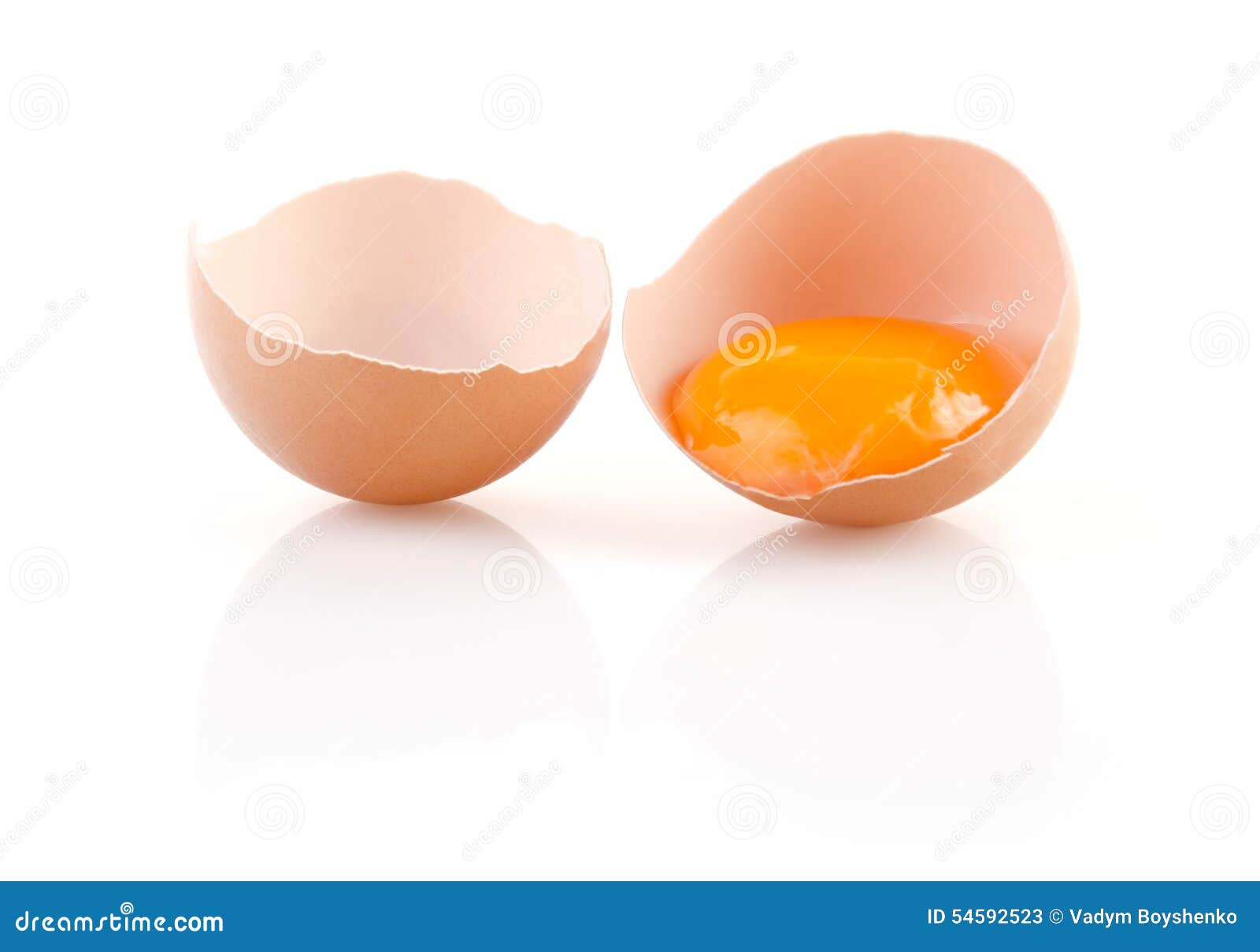 Broken Egg on White Background Stock Image - Image of shell, freshness ...