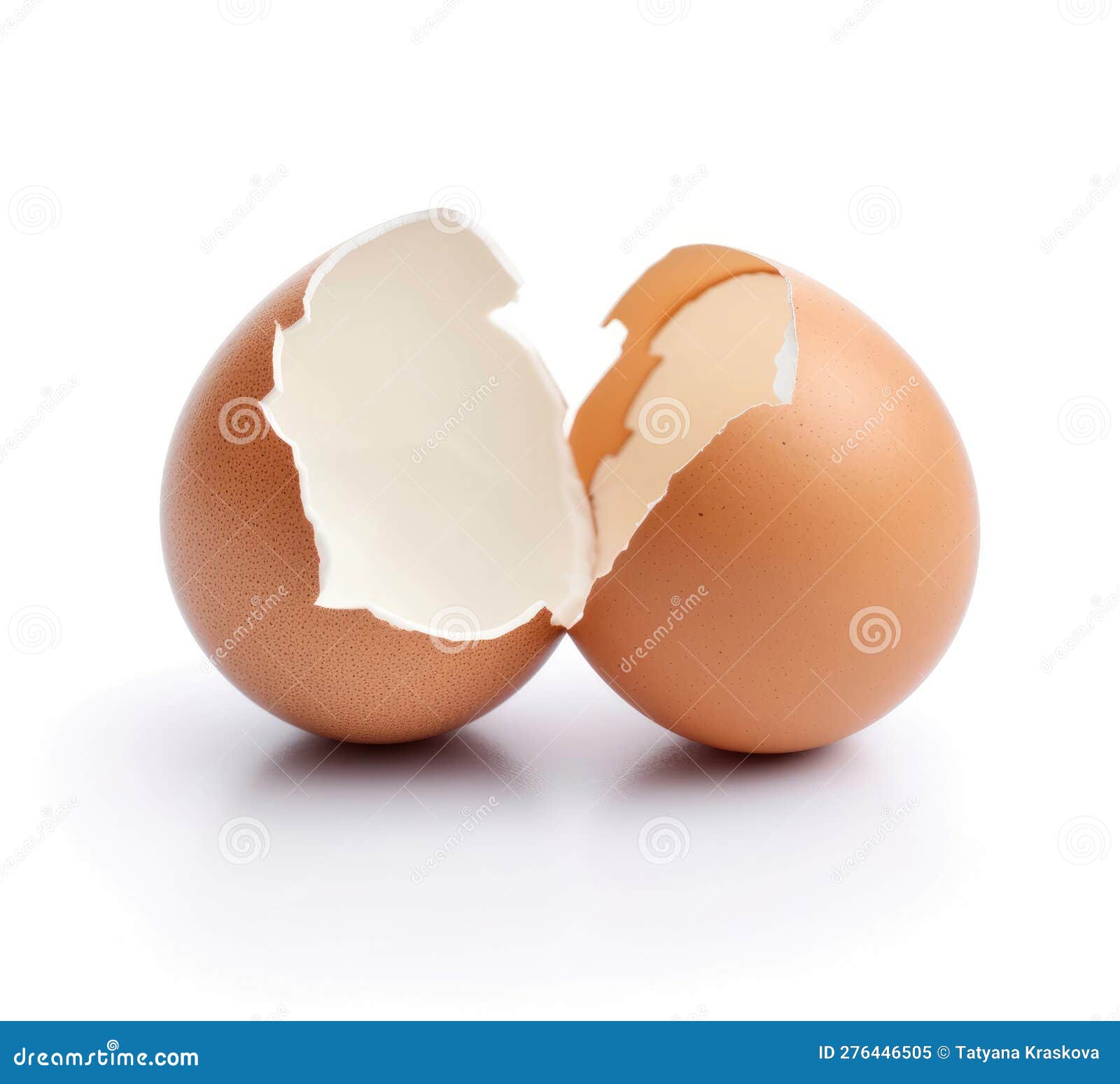 Broken Egg on a White Background Stock Illustration - Illustration of ...