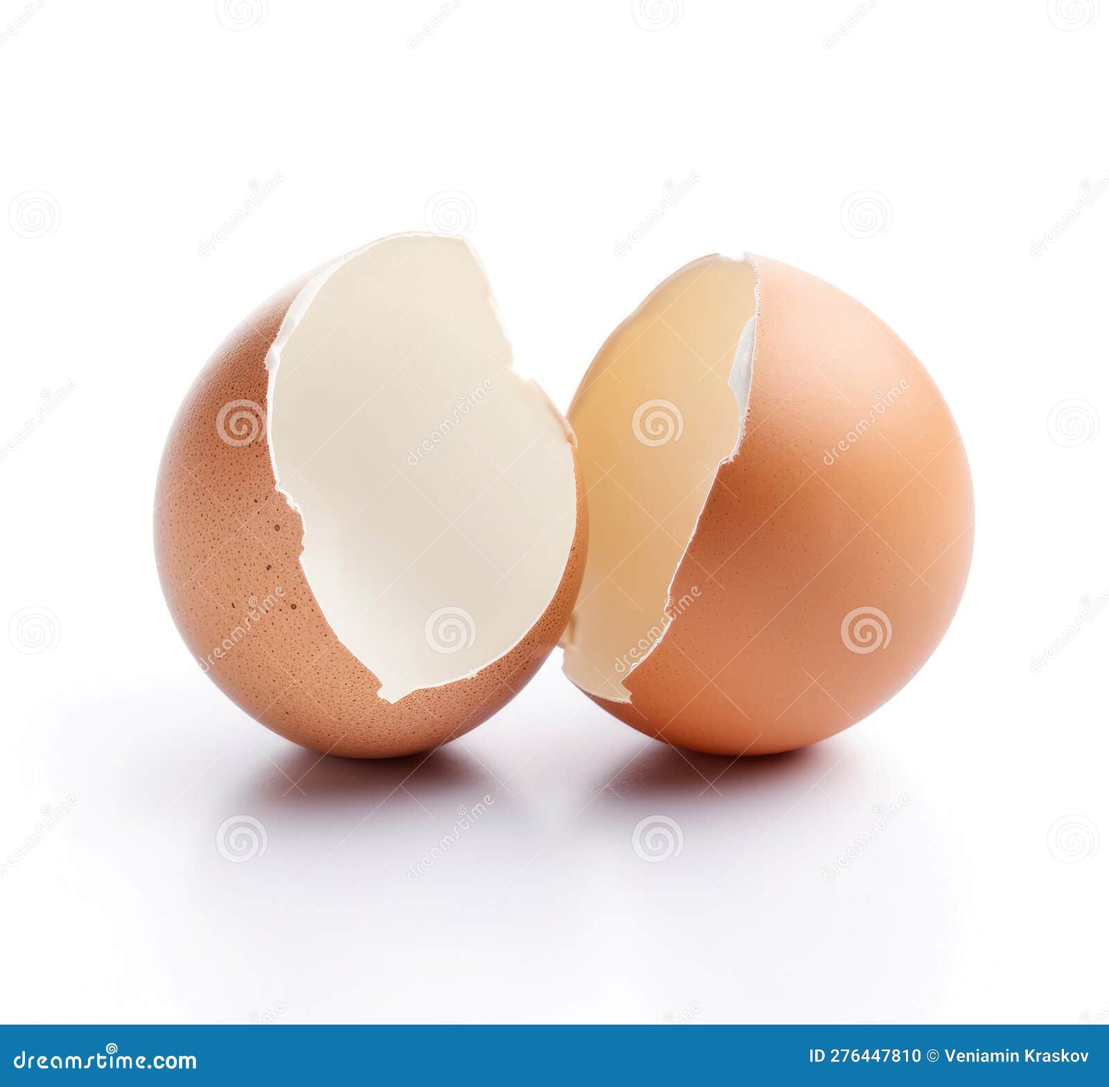 Broken Egg on a White Background Stock Illustration - Illustration of ...