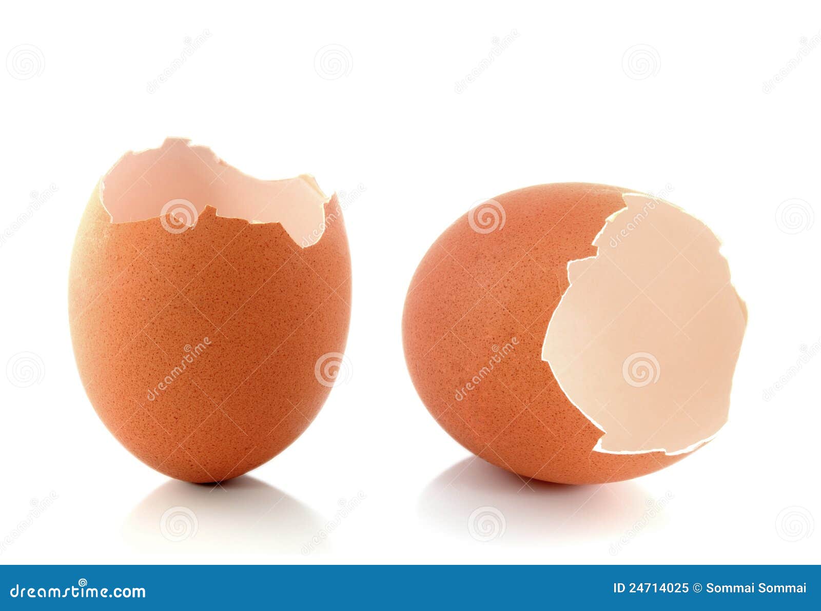 Broken eggshell stock image. Image of life, boiled, cuisine - 24714025