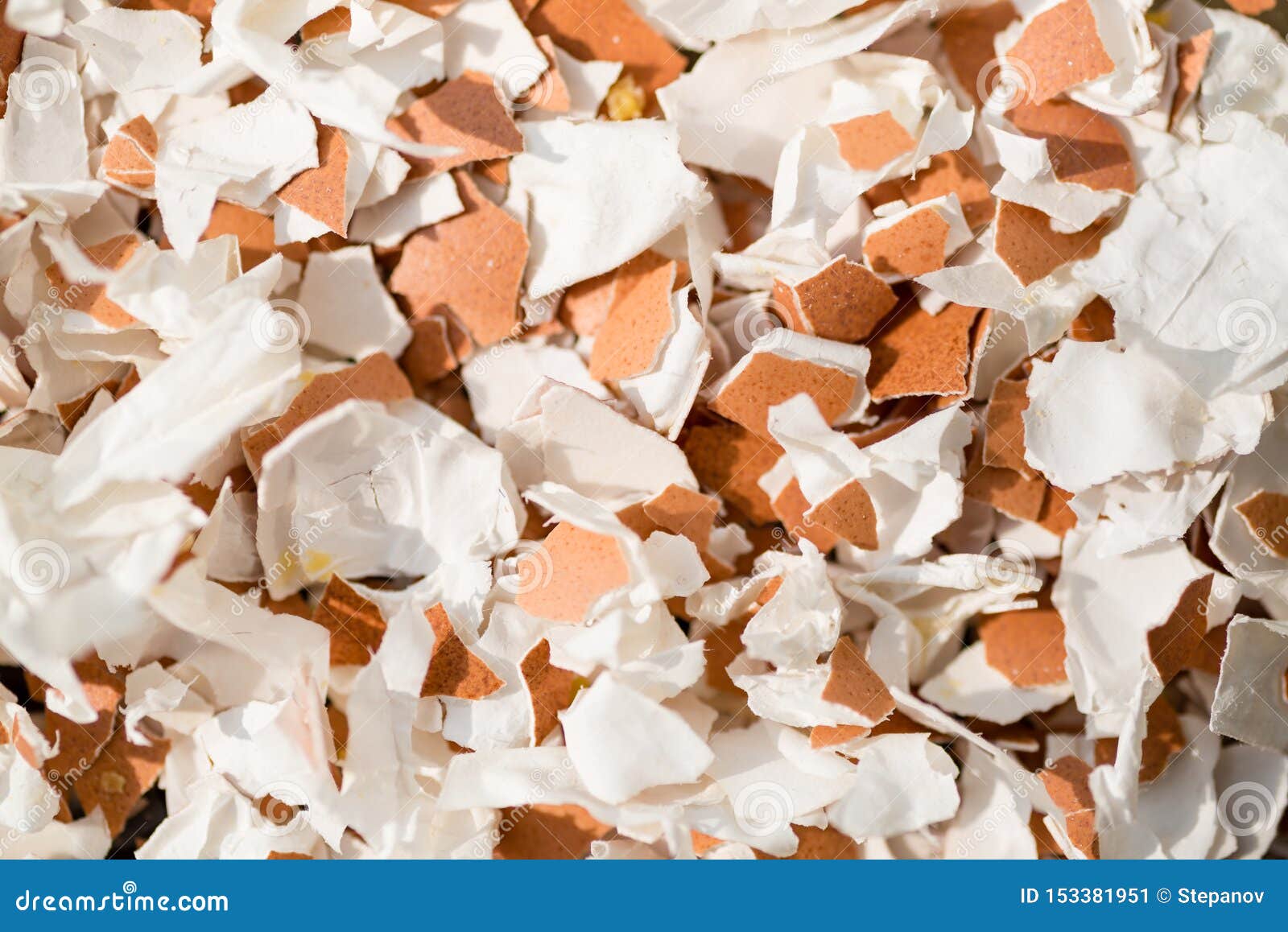 Broken eggshell background stock image. Image of easter - 153381951
