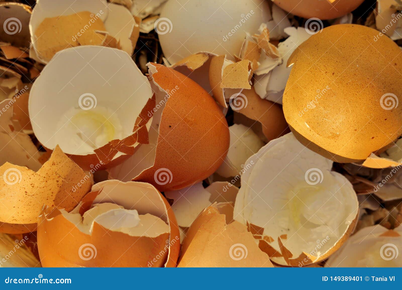 Broken Eggshell after Eggs Close Up Stock Image - Image of concept ...