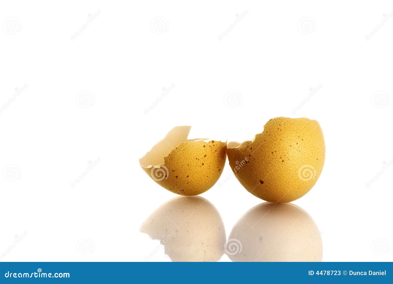 Eggshell On White Background, Eggs Isolated Royalty-Free Stock Photo ...
