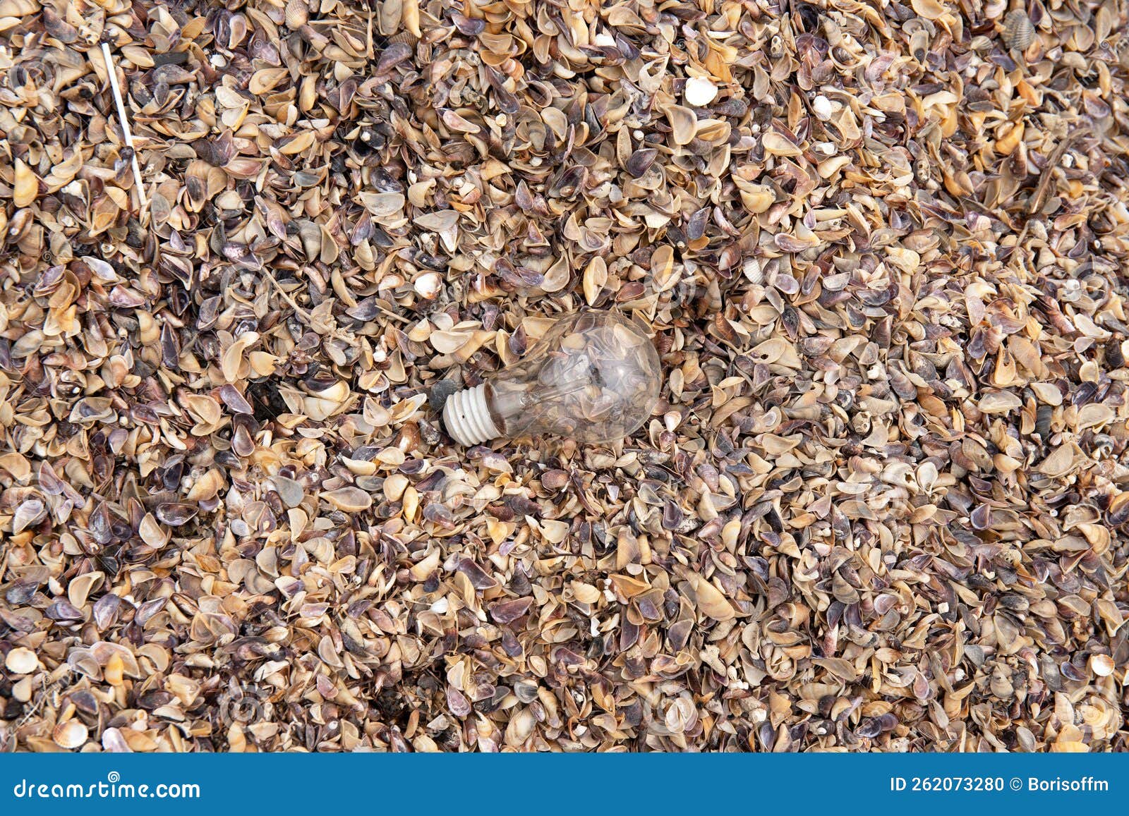 Broken Electric Light Bulb on Shells Stock Photo - Image of colorful ...