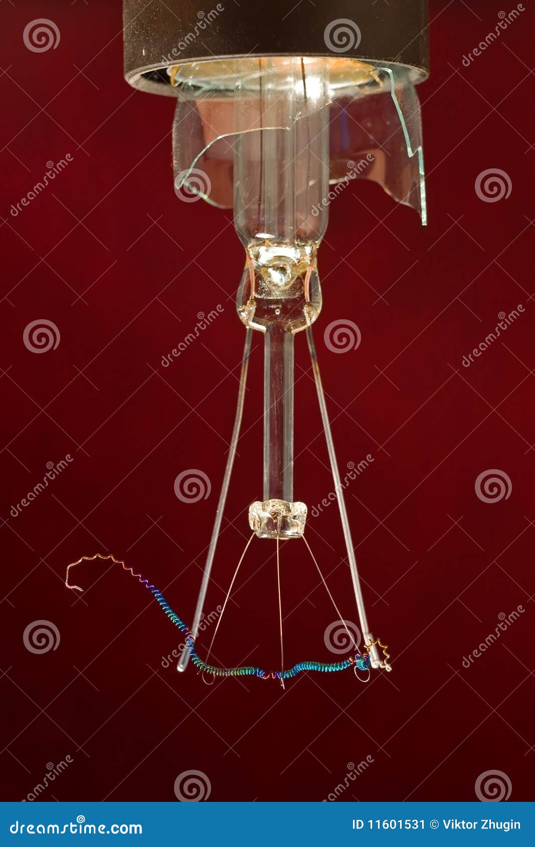 Pulb Stock Photos - Free & Royalty-Free Stock Photos from Dreamstime